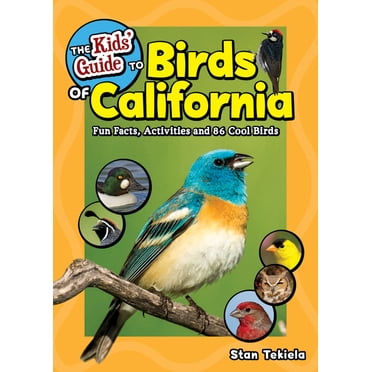 My Backyard Bird Book : Fun Facts & Surprising Secrets (Hardcover ...