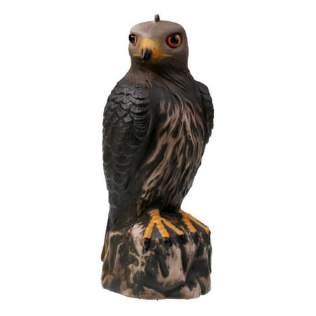 Eagle Decoy 3D to Away crow Hunting Animal Decoy for Garden Backyard ...