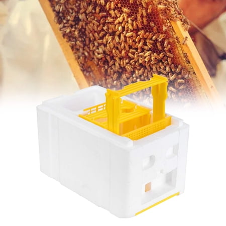 Bee Mating Box, Reasonable Structure Foam Box Bee Pollination Box ...