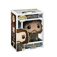Cartoon Funko Harry Potter Sirius Black: Harry Potter x ! Vinyl Figure ...