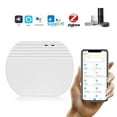 WIFI Smart Gateway ZigBee 3.0 Gateway EWelink APP Wireless Remote Voice ...