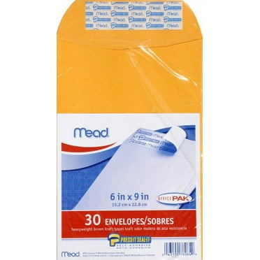 Mead #10 Airmail Envelopes 20 Count (74260) - Walmart.com