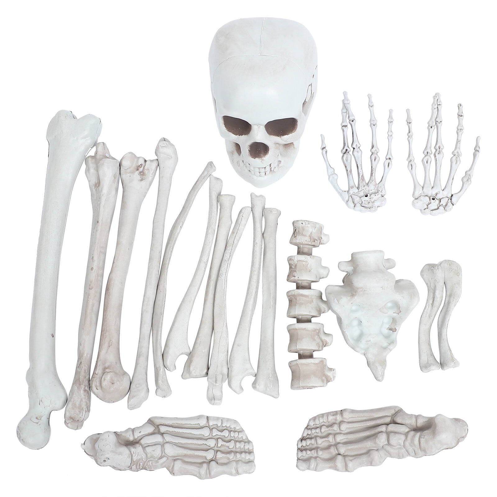 Hemoton 1 Set Human Skeleton Bones Graveyard Human Skulls Spooky Scene ...