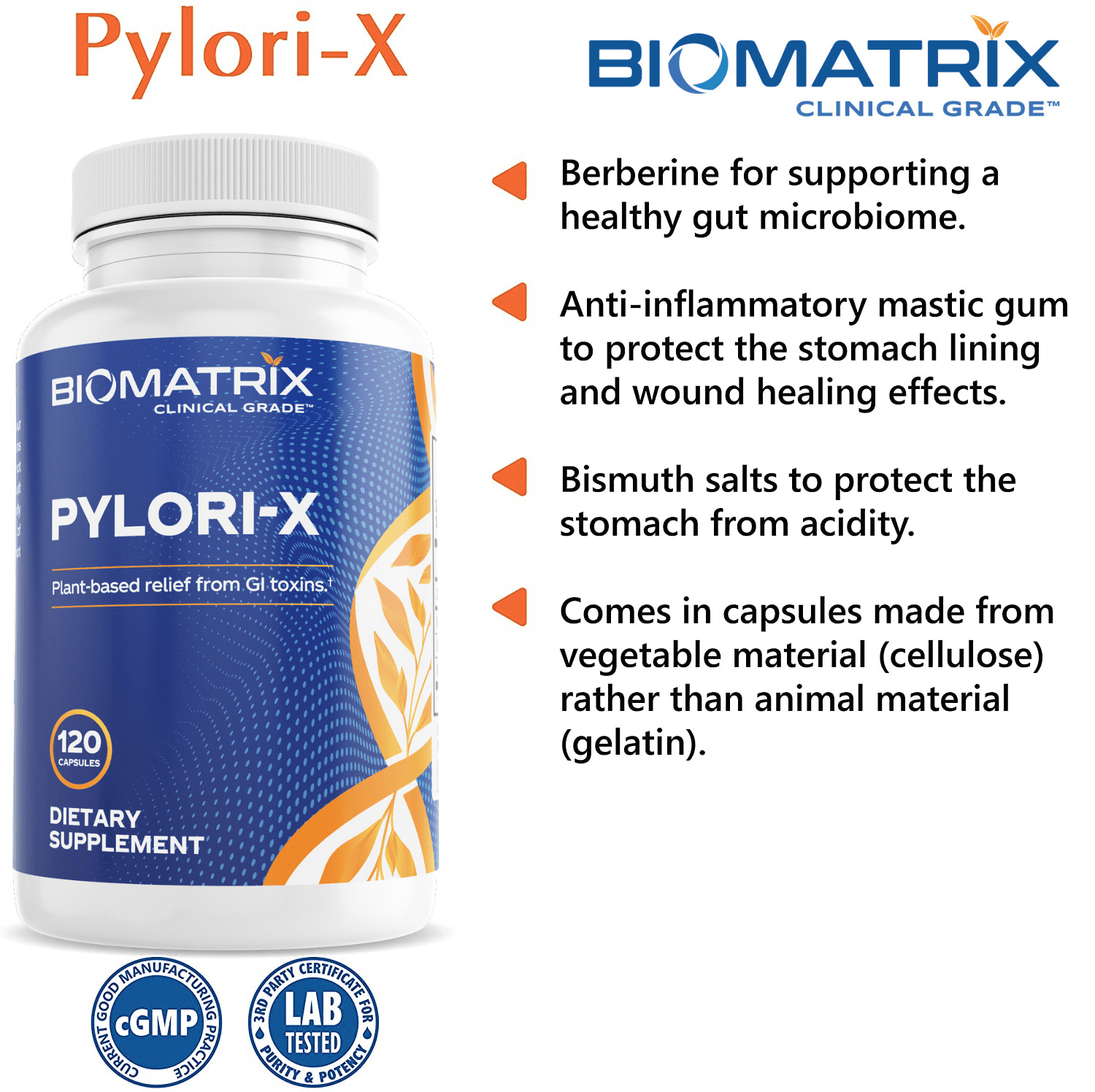 Buy BioMatrix Pylori-X Mastic Gum ( 120 Capsules) - Eliminates ...