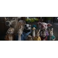 Peter Rabbit 2: The Runaway Movie (DVD + Digital) - Walmart.com
