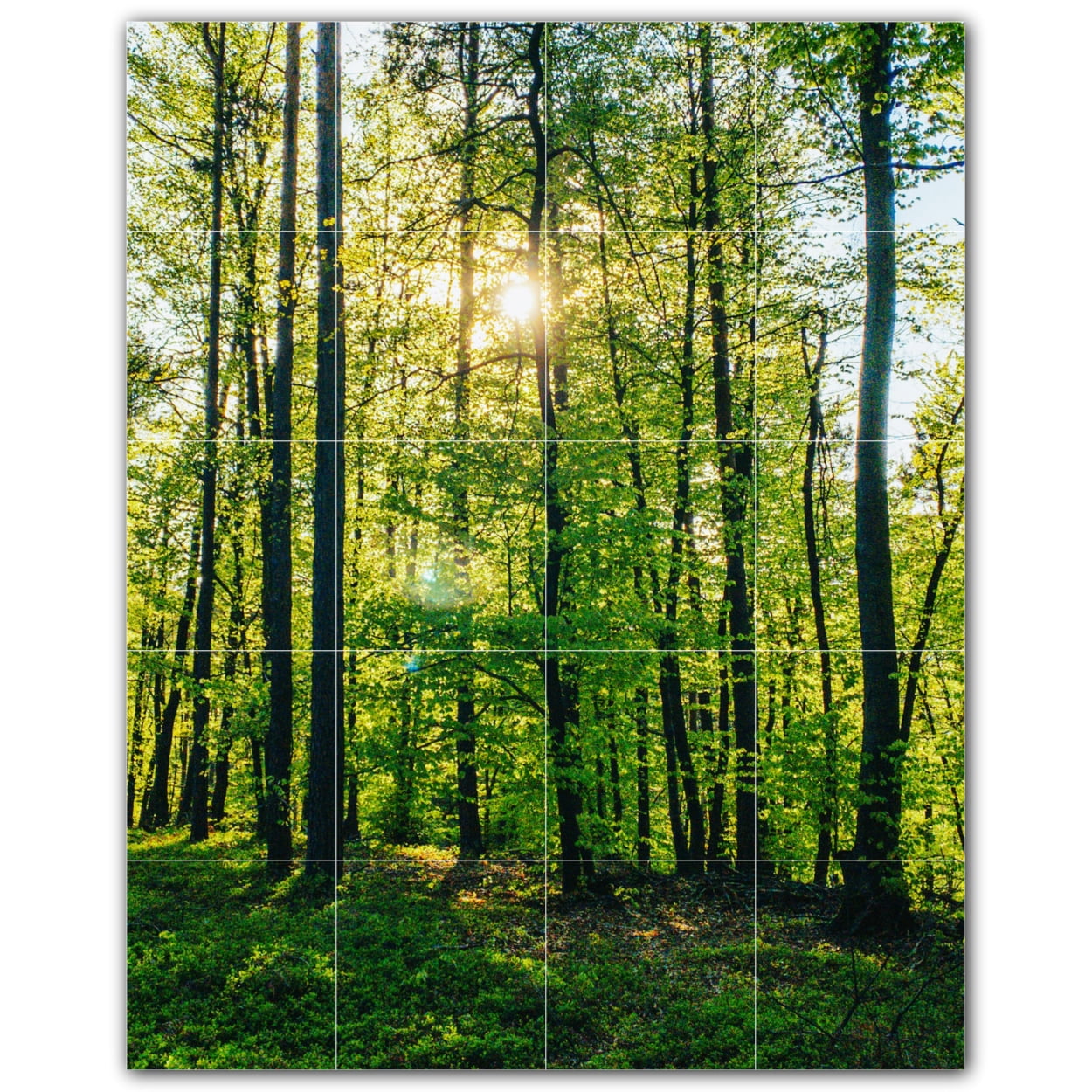 Picture-Tiles.com: Trees Ceramic Tile Wall Mural WAL501023-45L. 32"W x 40"H using (20) 8" x 8 ...