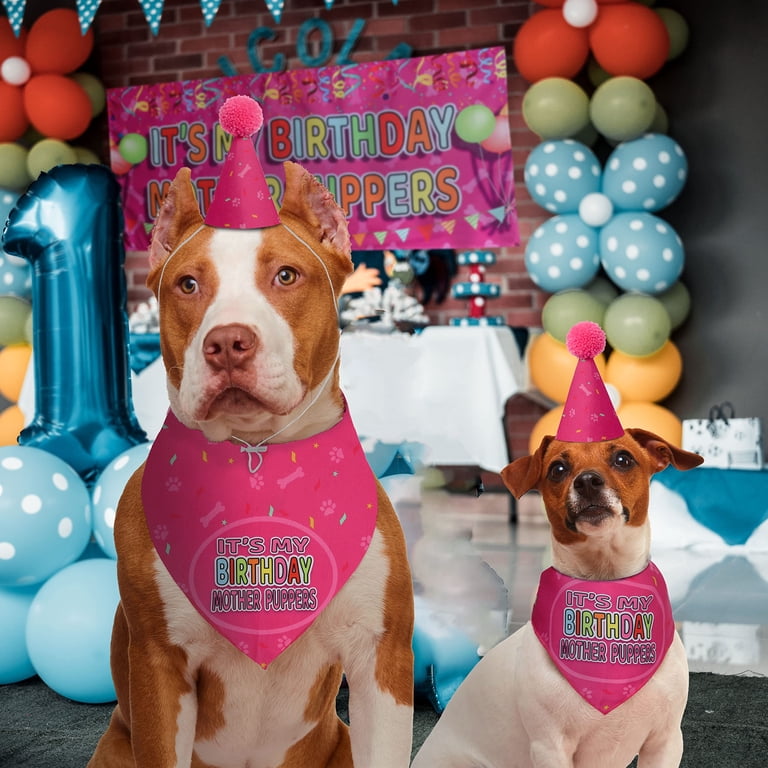 Dog Birthday Ideas For Dogs