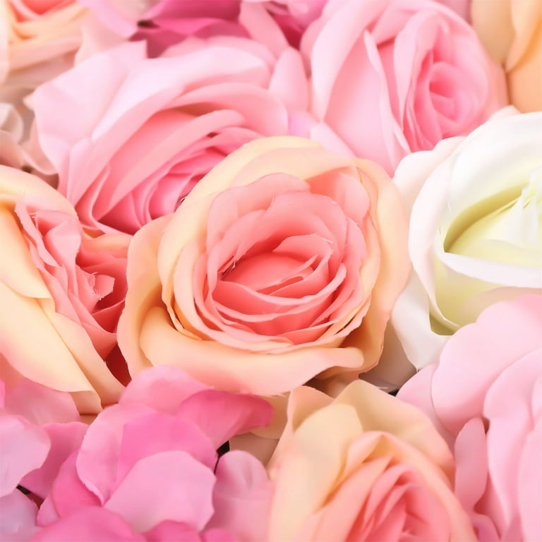 Pale Pink Rose Wallpaper