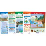 Cells Bulletin Board Chart Set - Set of 7 - Walmart.com
