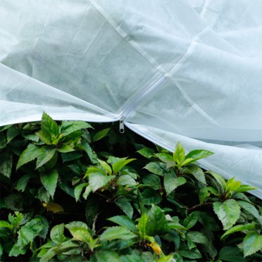 UniEco Floating Row Cover 0.9oz 10'x10' Reusable Plant Covers for ...