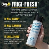 BG Frigi-Fresh Automotive Air Conditioning Cleaner and Freshener (5.5 ...