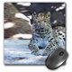 3dRose Leopard, Mouse Pad, 8 by 8 inches - Walmart.com