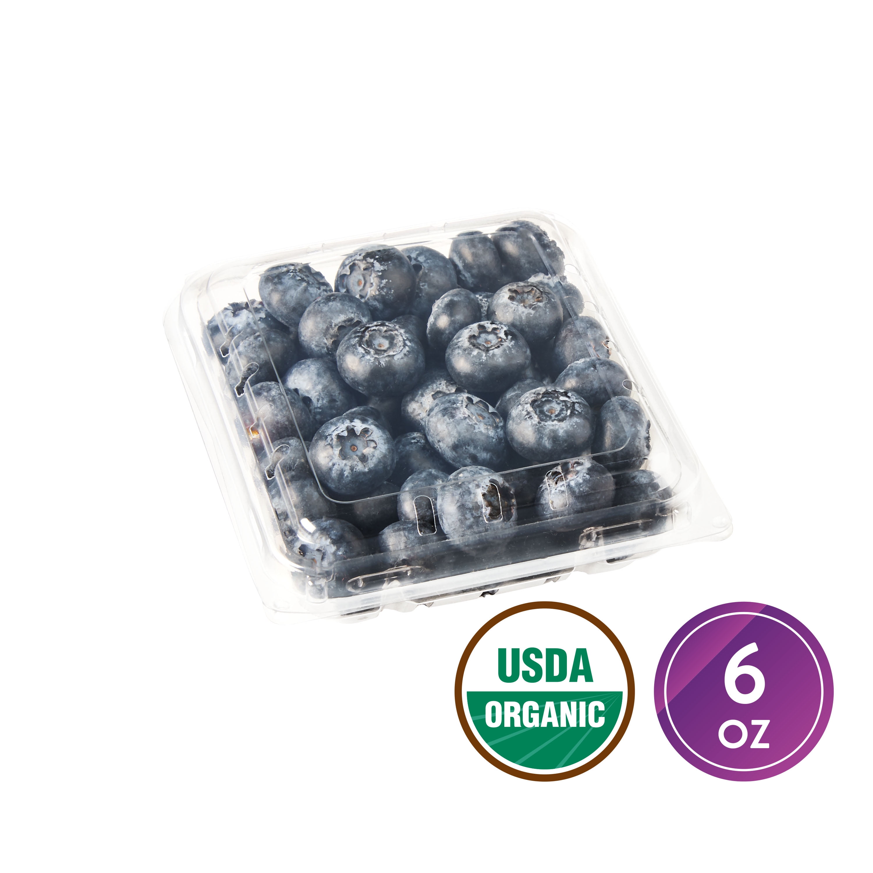 Easy Recipe: Tasty How Many Blueberries In An Ounce - Prudent Penny Pincher