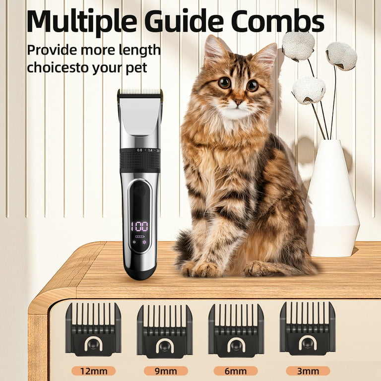 Rabbit Grooming Tools