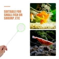 BESTYASH Assorted Color Fishing Net for Small Fish and Shrimp Ideal ...