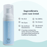 AutoBrush Mint Flavor Foam Toothpaste, Fights Cavities, Works with All ...