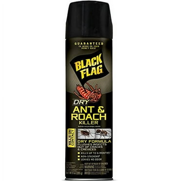 Black Flag Spider and Scorpion Killer 16 Ounces, Aerosol Insecticide ...