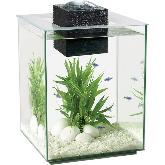 5 Gallon Fish Tank in Fish Tanks - Walmart.com