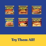 SPAM Classic, 7 g of protein, 12 oz Can (12-Pack) - Walmart.com