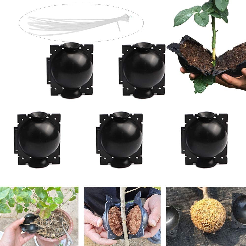 5 Plant Rooter Box, Reusable Air Layering Plant Rooting Ball, Asexual ...
