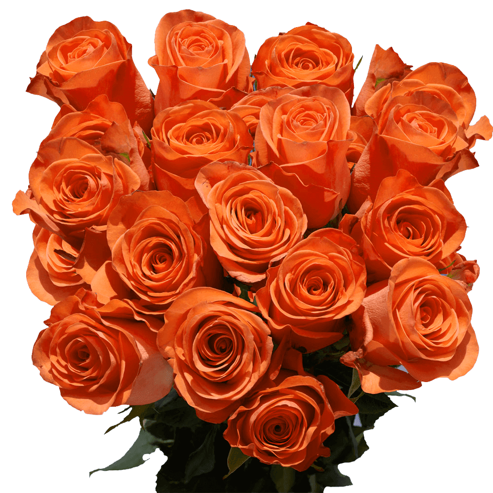 75 Long Stem Assorted Orange Roses- Beautiful Fresh Cut Flowers ...