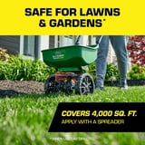 Tom Cat Mole and Gopher Repellent Granules, Safe for Lawn and Garden, 4 ...