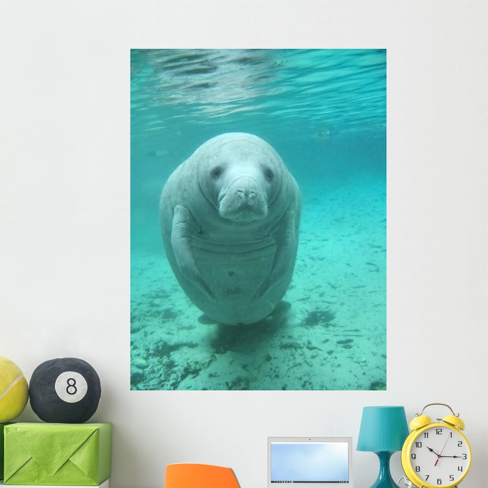 Manatee Wall Mural Decal Sticker, Wallmonkeys Peel & Stick Vinyl ...