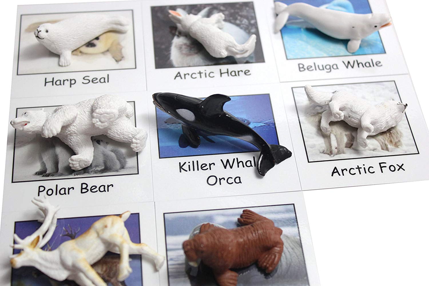 Montessori Arctic Polar Animal Match - Miniature Arctic Animal Toy ...