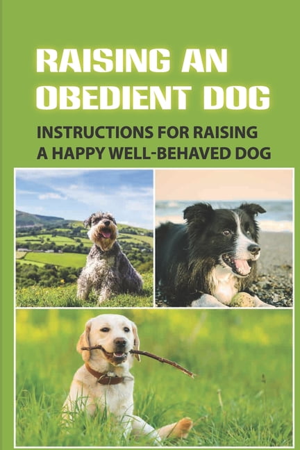 How Do You Raise A Obedient Dog