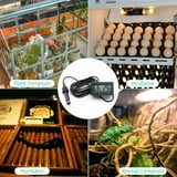 Mini Reptile Terrarium Thermometer Hygrometer with Probe Reptile ...