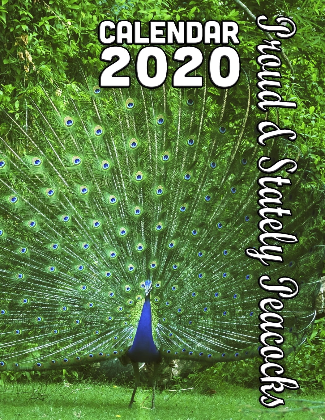 Proud and Stately Peacocks Calendar 2020 : 14 Month Desk Calendar for ...