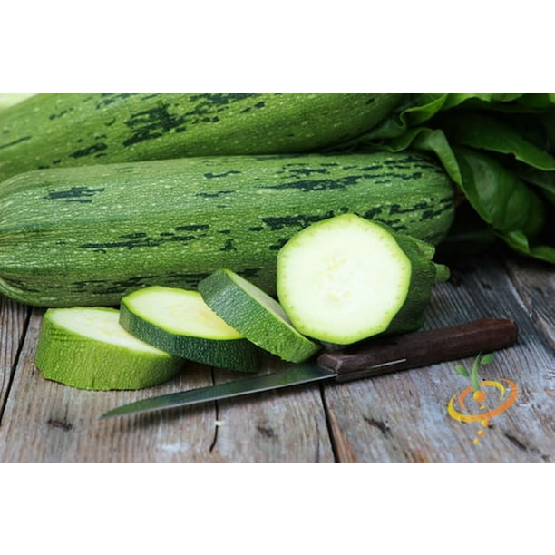 Cocozelle Zucchini Bush Squash - 15 Seeds - Walmart.com
