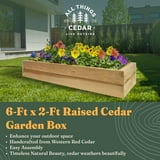 All Things Cedar RG72-2 6-ft x 2-ft Cedar Raised Garden Box | 2 Tier ...