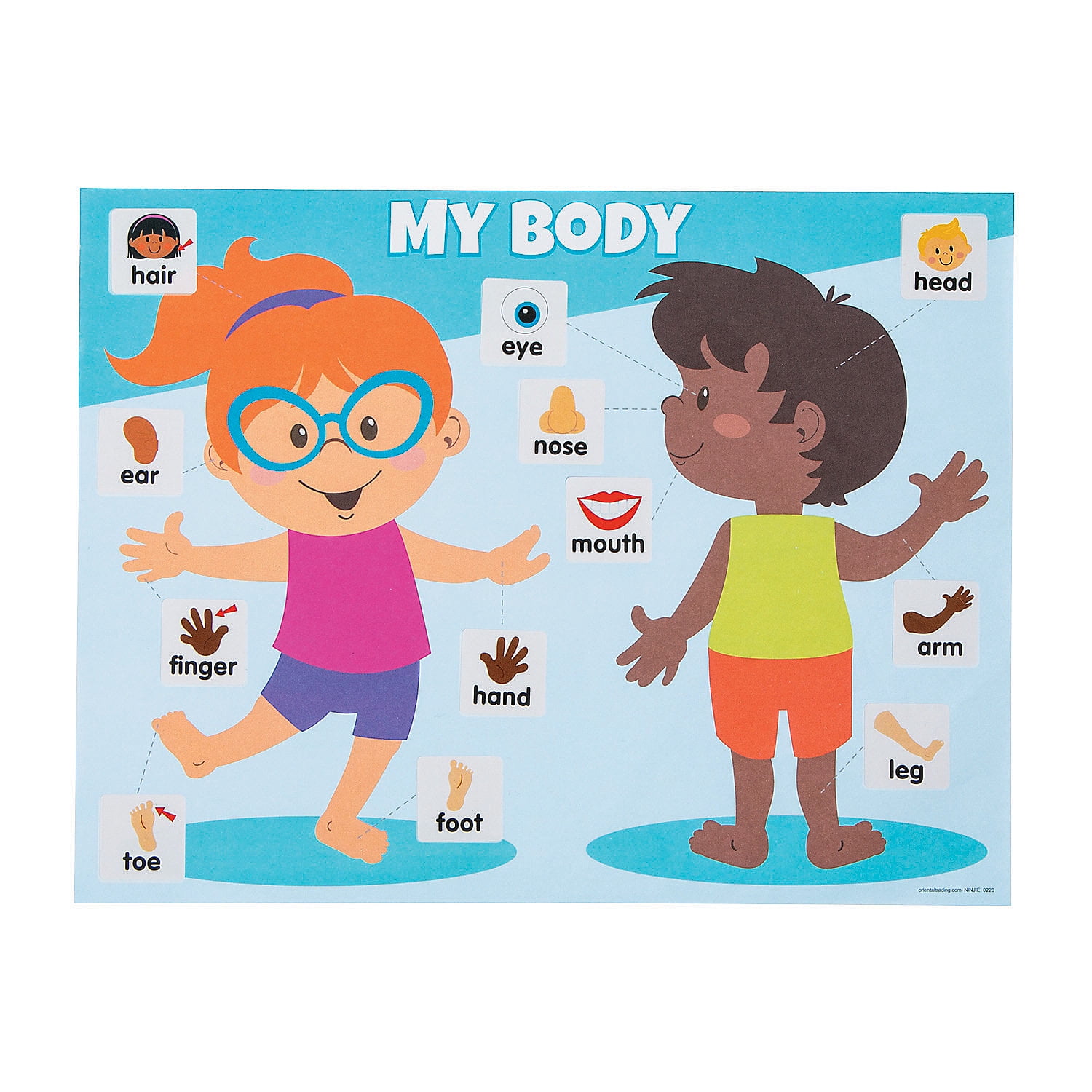 Body Part Label Sticker Scenes, Stationery, Party Supplies, 12 Pieces ...