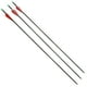 Safari Choice Archery Hunting Carbon/Fiberglass Mix Arrows 30" (3 Pack ...