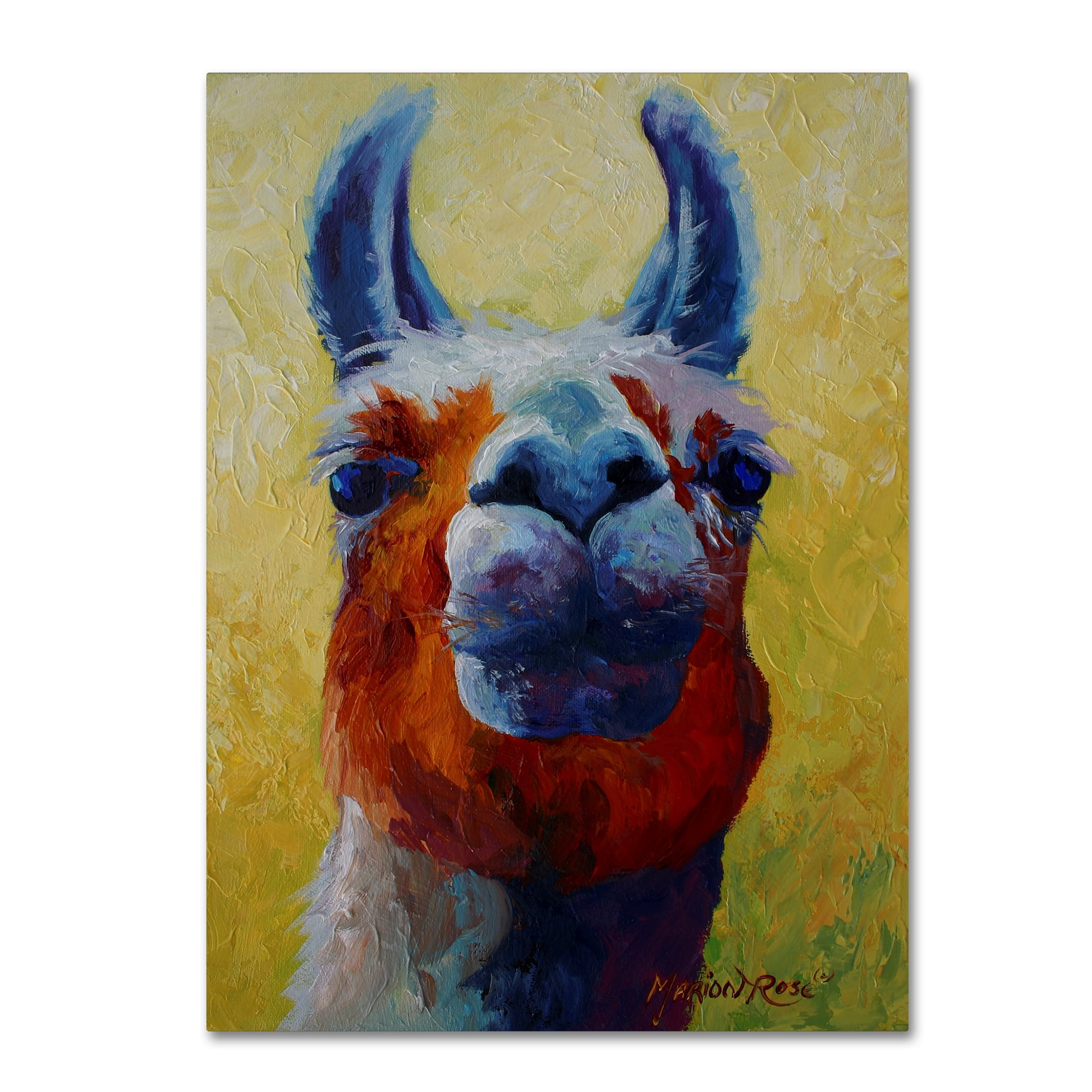 Trademark Fine Art 'Llama I' Canvas Art by Marion Rose - Walmart.com