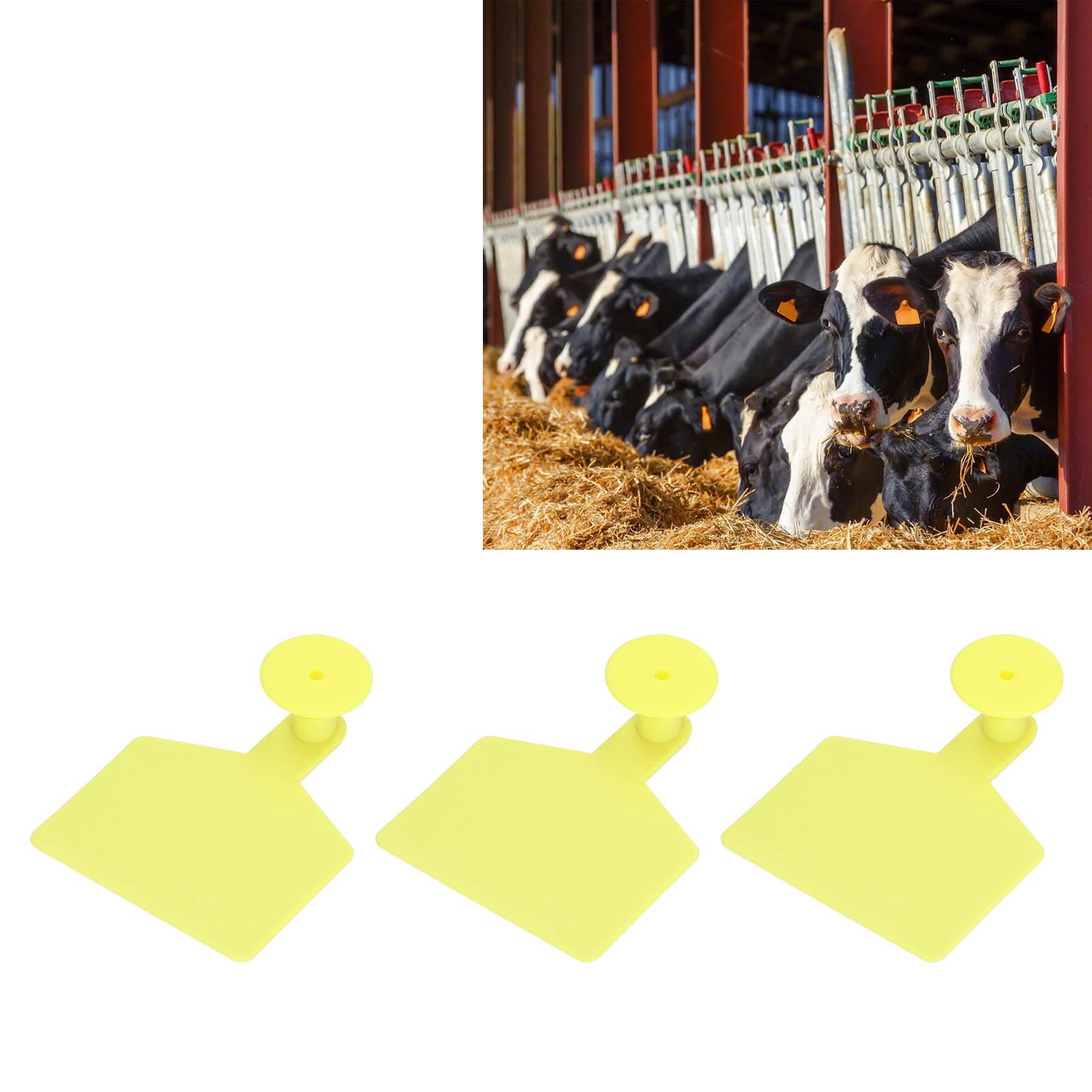 Animal Identification Tags, Blank Cattle Ear Tag Polyurethane Ownership ...