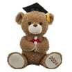 Graduation Autograph Cat - Toys - 1 Piece - Walmart.com