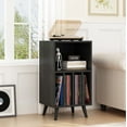SamyoHome Record Player Stand 2-Tier Vinyl Record Storage with Metal ...