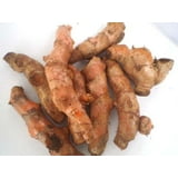 Premium Quality Fresh Yellow Turmeric Root, Whole Produce Curcuma - 1lb ...