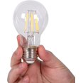 12V E26 Light Bulb A19 PURE WHITE 6000k 4W LED Edison 12 Volt Classic ...
