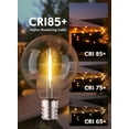 G40 Replacement LED Light Bulbs, 25 Pack Clear Globe Bulb fits E12 C7 ...