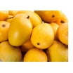 Malika Dwarf Cold Hardy MANGO TREE GRAFTED (2-4 Feet Tall) - Walmart.com