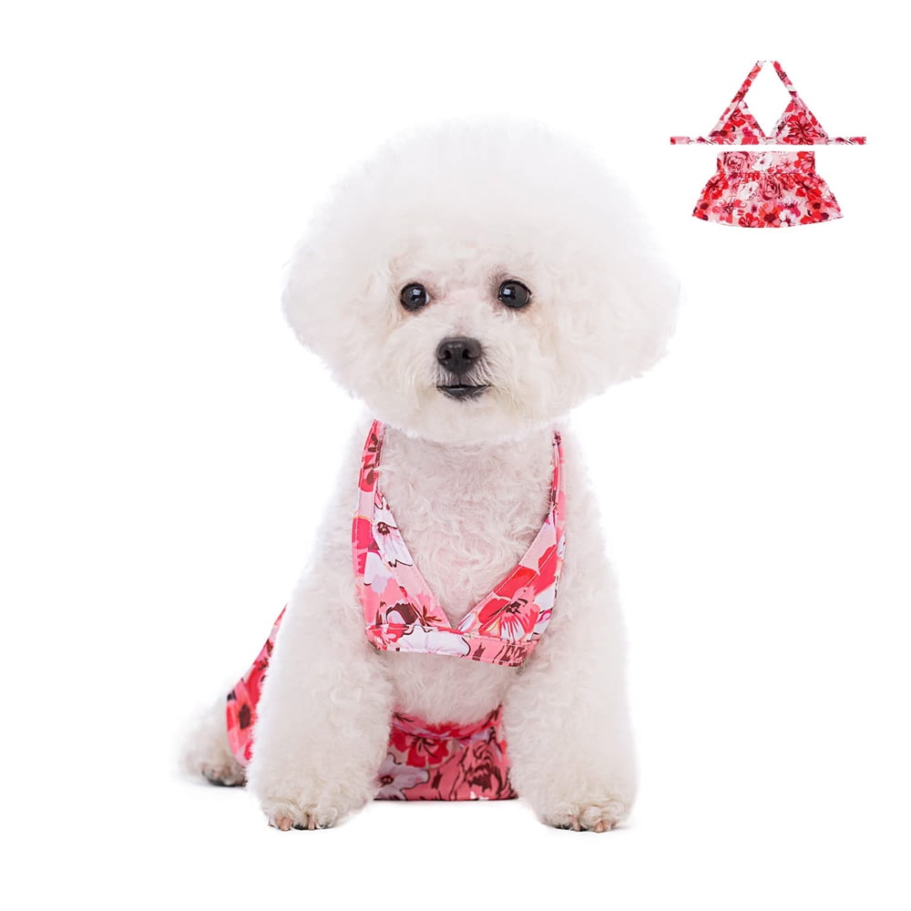 Coloody Dog Summer Bikini Suit Printed Lace-Up Beach Dog Kitten ...
