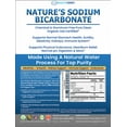 Healthy Kidney Nature’s Sodium Bicarbonate Powder - Kidney Support, 1lb ...