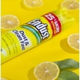 Endust Multi-Surface Dusting and Cleaning Spray, 2 Count - Walmart.com
