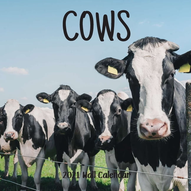 Cow 2021 Wall Calendar : Cow 2021 Calendar,18 Months (Paperback ...
