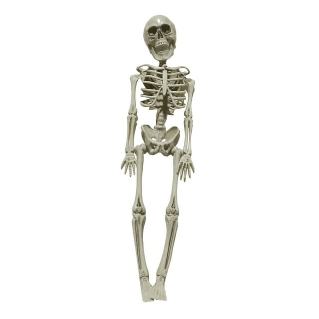 FOCUSNORM 15.7 Inches Full Life Size Halloween Decoration Human ...