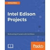 Delphi Programming Projects (Paperback) - Walmart.com