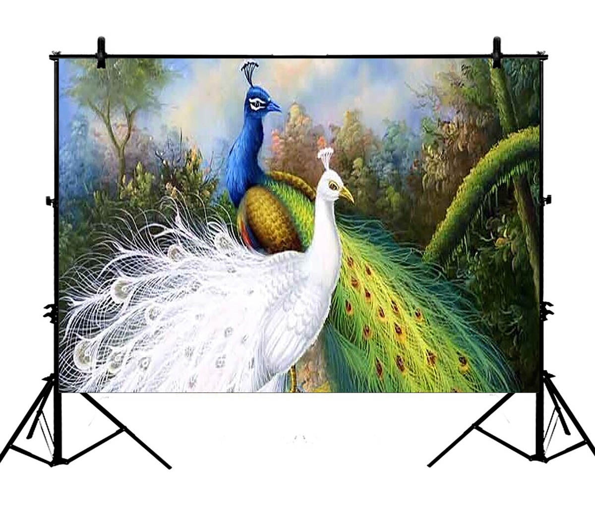 GCKG 7x5ft Beautiful Peacock Polyester Photography Backdrop Studio ...